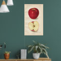 Vintage McCroskey Apple Poster | Zazzle