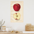 Vintage McCroskey Apple Poster | Zazzle