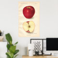 Vintage McCroskey Apple Poster | Zazzle