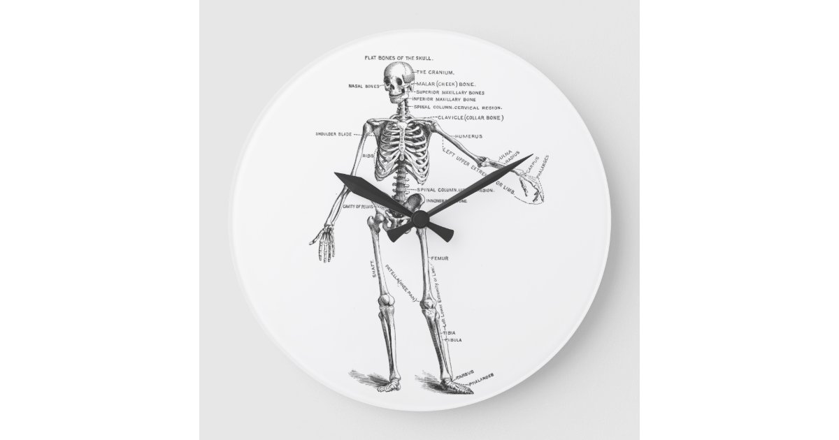 Vintage medical anatomy skeleton doctor diagram clock | Zazzle