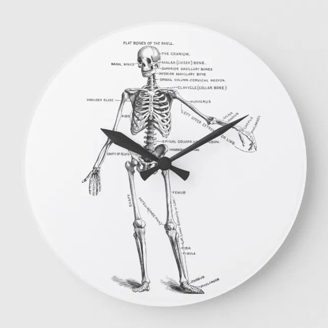 Vintage medical anatomy skeleton doctor diagram large clock | Zazzle