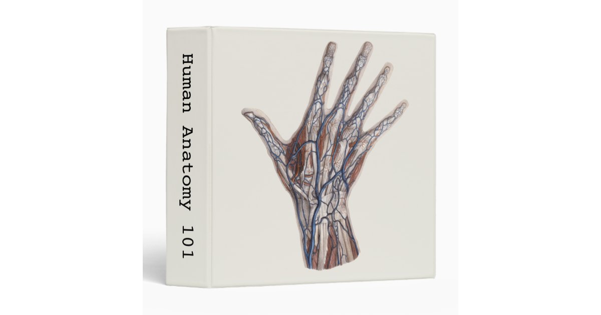 Vintage Medicine, Human Anatomy Hand Fingers 3 Ring Binder | Zazzle