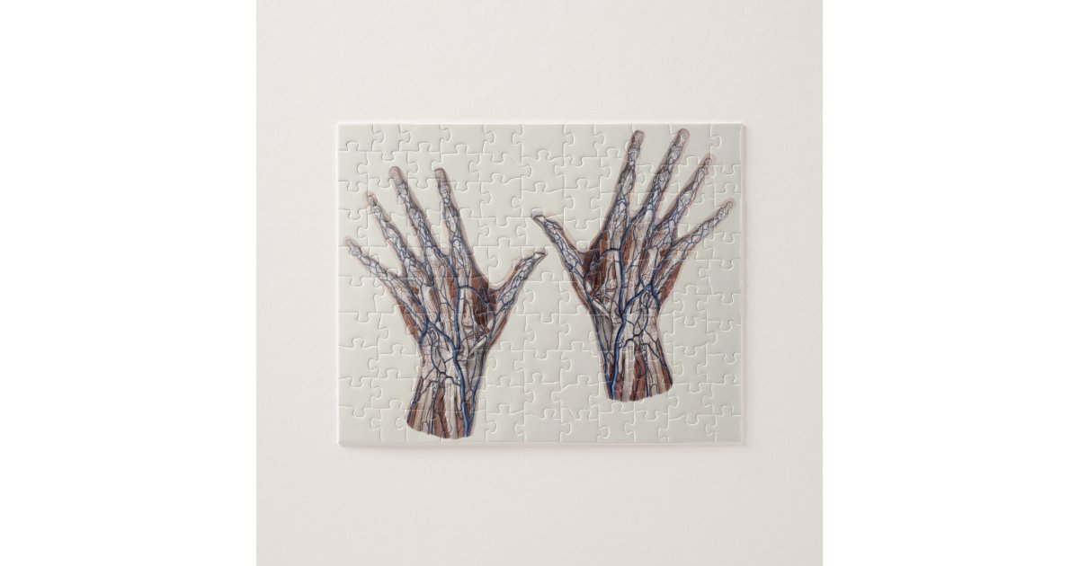 Vintage Medicine, Human Anatomy Hand Fingers Jigsaw Puzzle | Zazzle