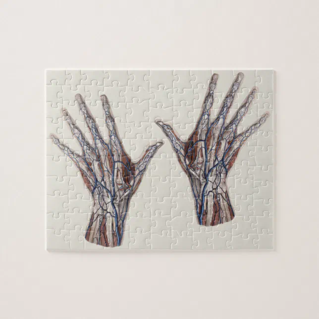 Vintage Medicine, Human Anatomy Hand Fingers Jigsaw Puzzle | Zazzle