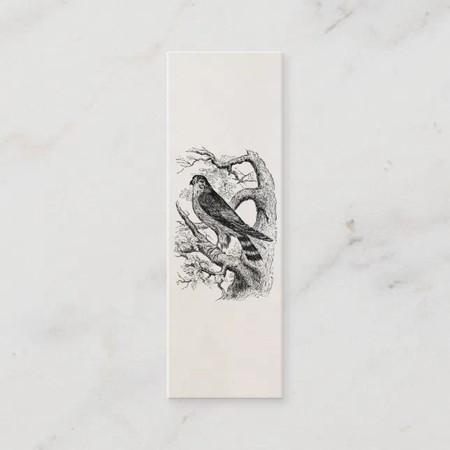 Vintage Merlin Falcon Bird - Birds Template Blank Mini Business Card ...