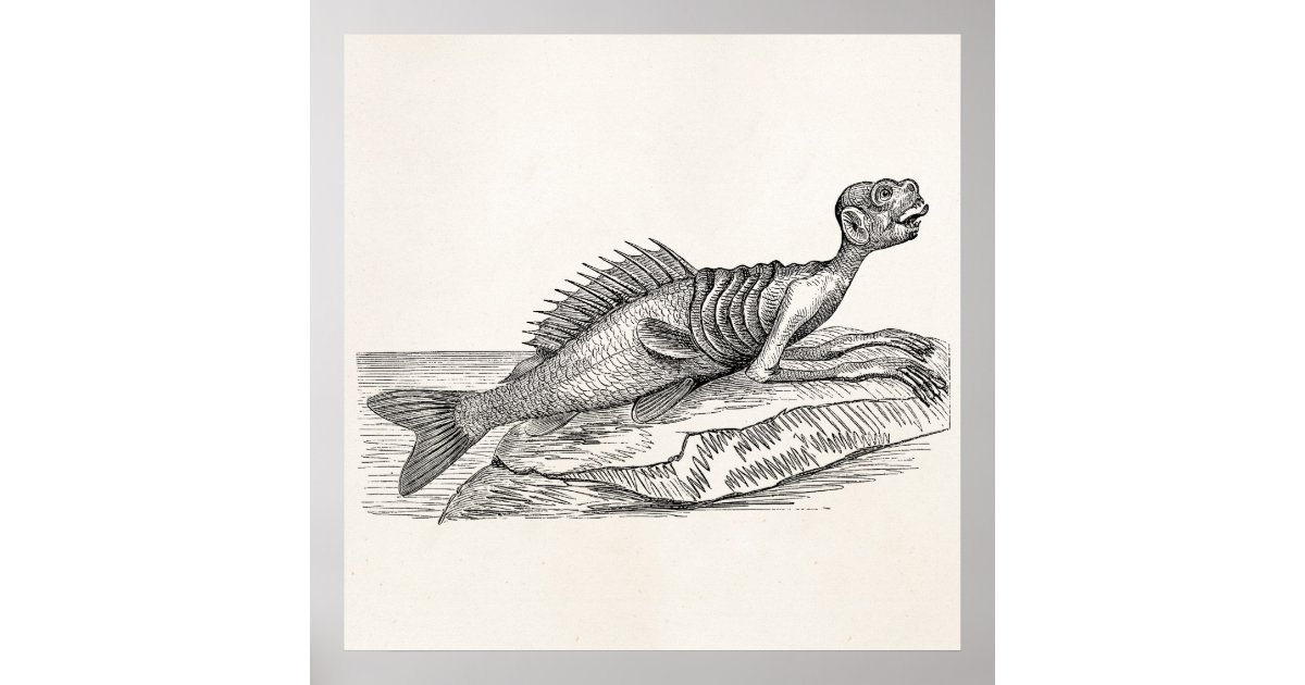 Vintage Merman Mermaid Sea Creature Monster Retro Poster | Zazzle
