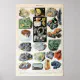 Vintage Minerals Rocks Geology Poster | Zazzle