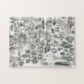 Vintage Mollusca Sea Ocean Snail Marine Jigsaw Puzzle | Zazzle