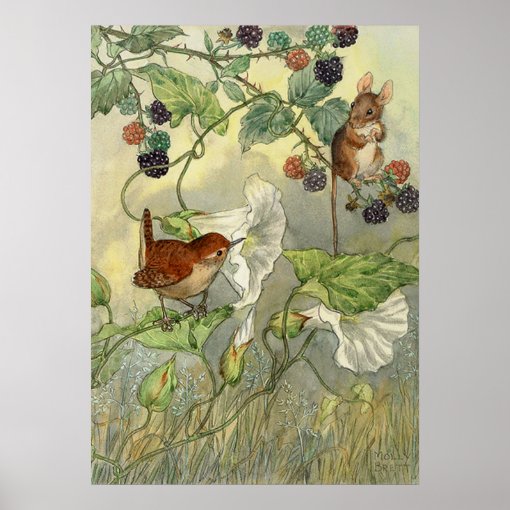 Vintage, Molly Brett Nature Art Bird, Mouse Poster | Zazzle