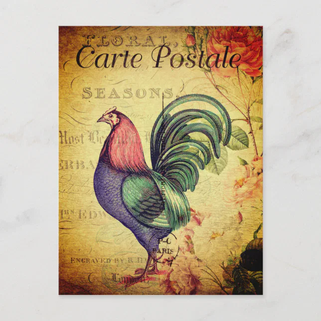 Vintage Money-Style Rooster Postcard | Zazzle