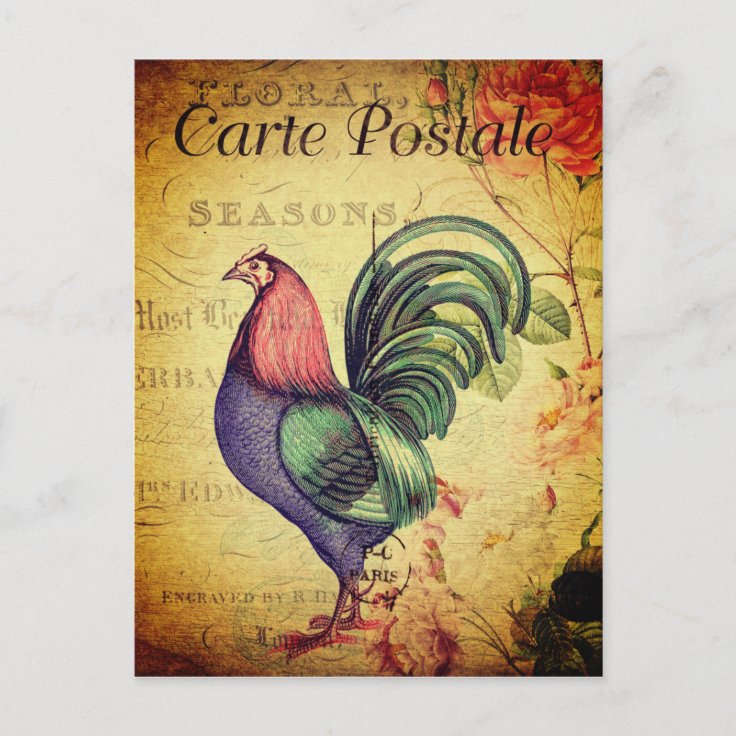Vintage Money-Style Rooster Postcard | Zazzle