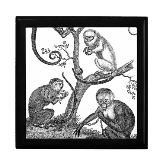 Vintage Monkey Illustration - 1800's Monkeys Gift Box | Zazzle.com