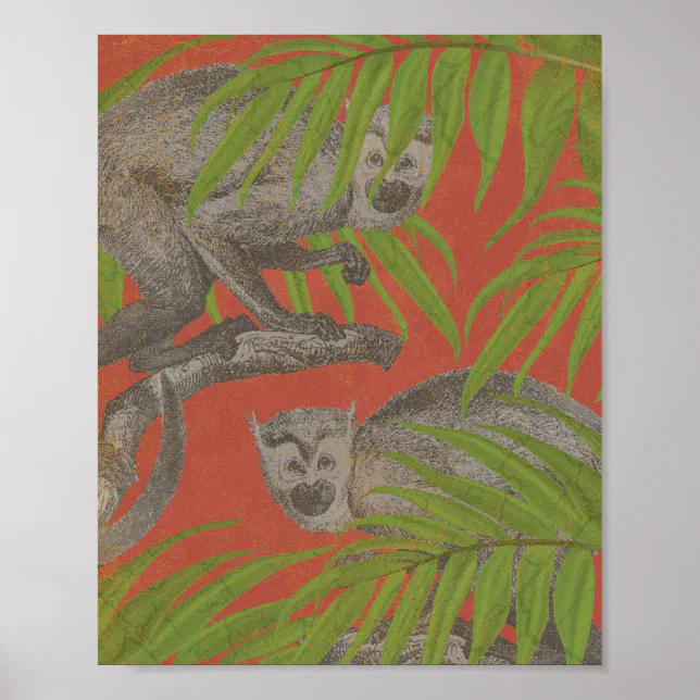 Vintage Monkeys Poster | Zazzle