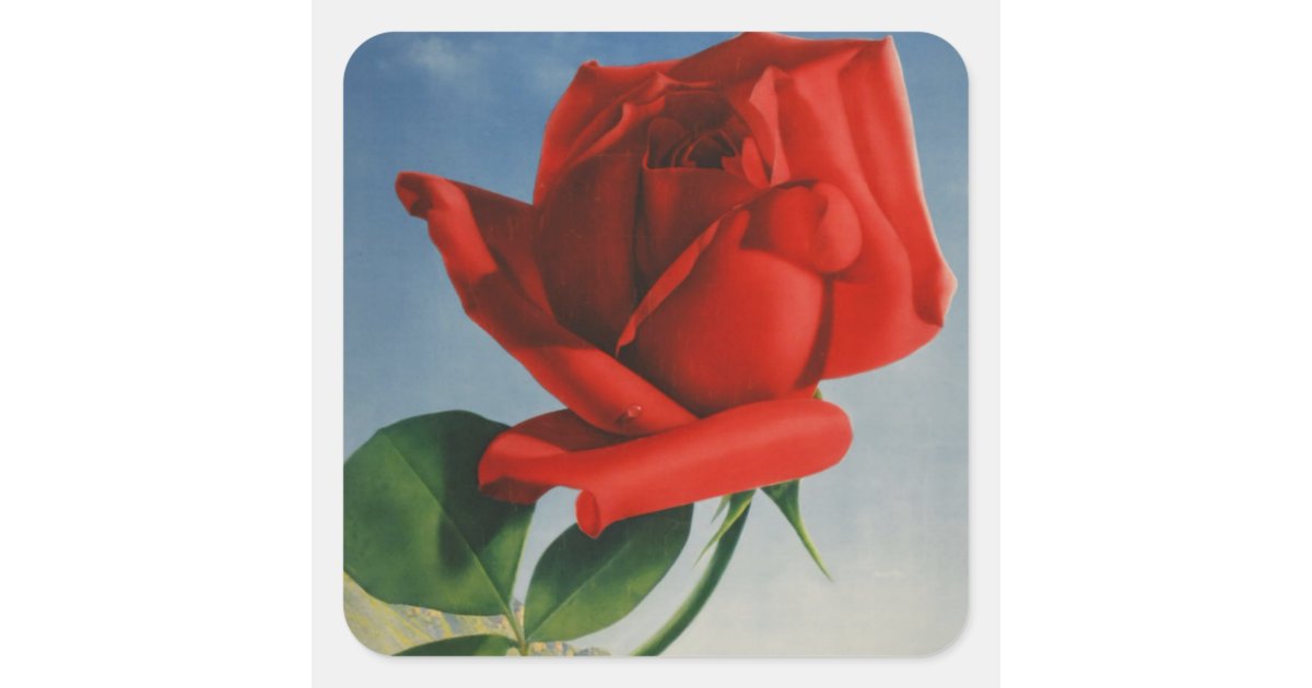 Vintage Montreux Red Rose Switzerland Geneva Lake Square Sticker | Zazzle