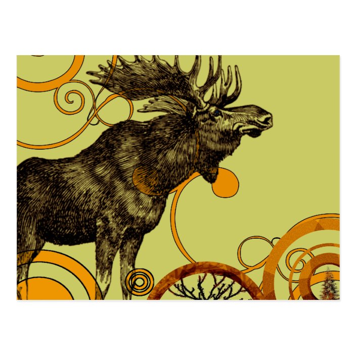 Vintage Moose Postcard | Zazzle.com