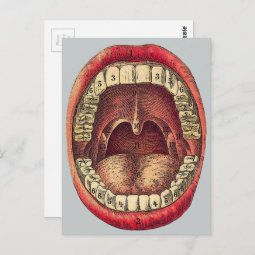 Vintage Mouth Postcard | Zazzle