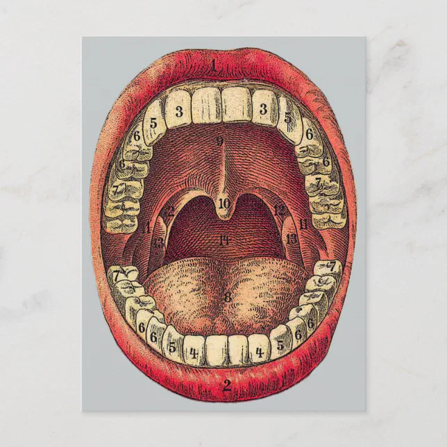 Vintage Mouth Postcard | Zazzle