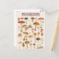 Vintage Mushroom Chart Postcard | Zazzle