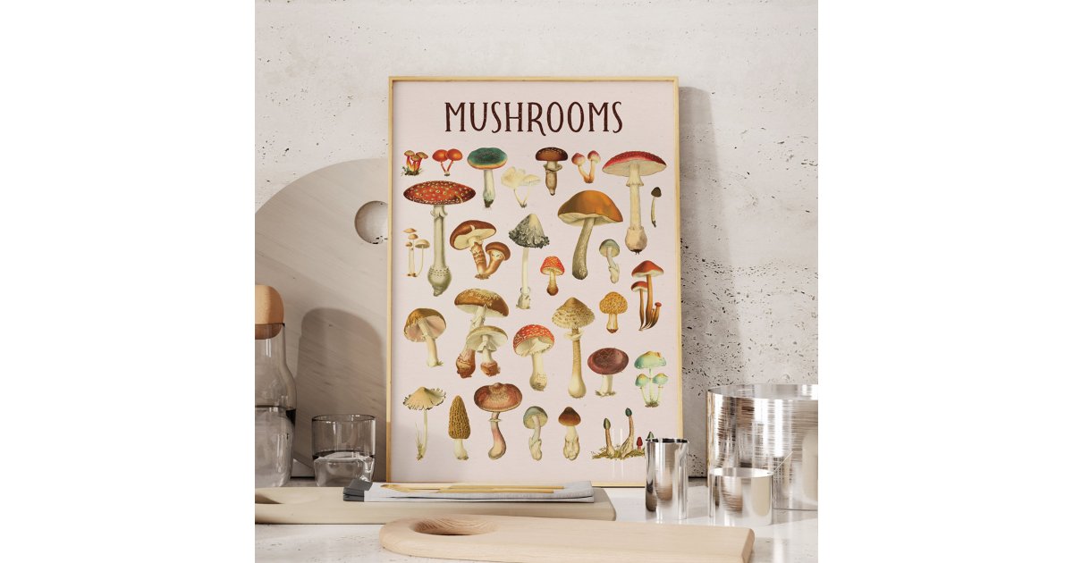 Vintage Mushroom Chart Wall Art | Zazzle