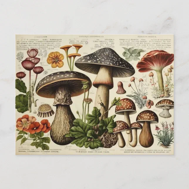 Vintage Mushroom Cottagecore Decoupage Postcard | Zazzle