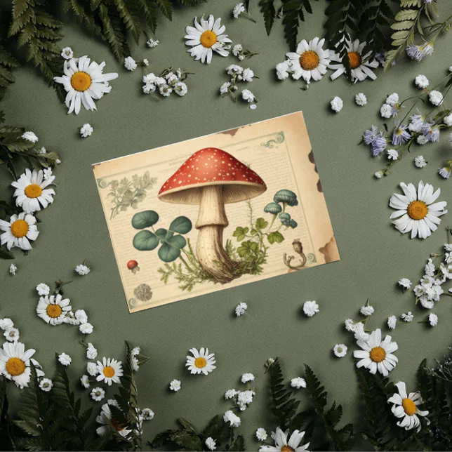 Vintage Mushroom decoupage Tissue Paper | Zazzle