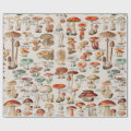Vintage Mushroom Fungus Illustration I Wrapping Paper | Zazzle
