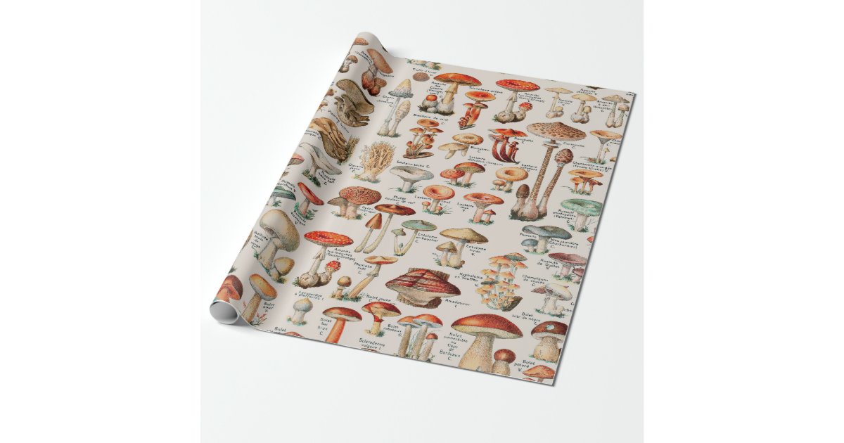 Vintage Mushroom Fungus Illustration I Wrapping Paper | Zazzle