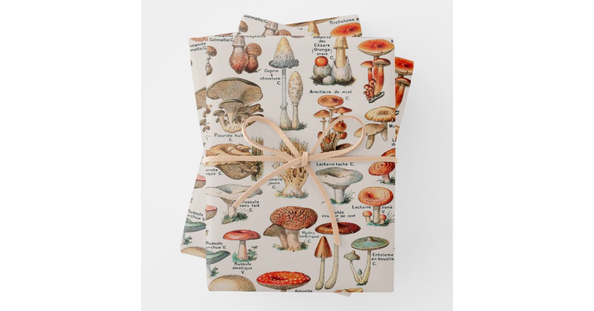 Vintage Mushroom Fungus Illustration I Wrapping Paper Sheets | Zazzle