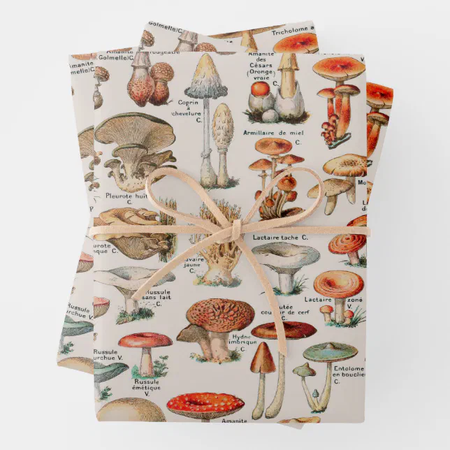 Vintage Mushroom Fungus Illustration I Wrapping Paper Sheets | Zazzle