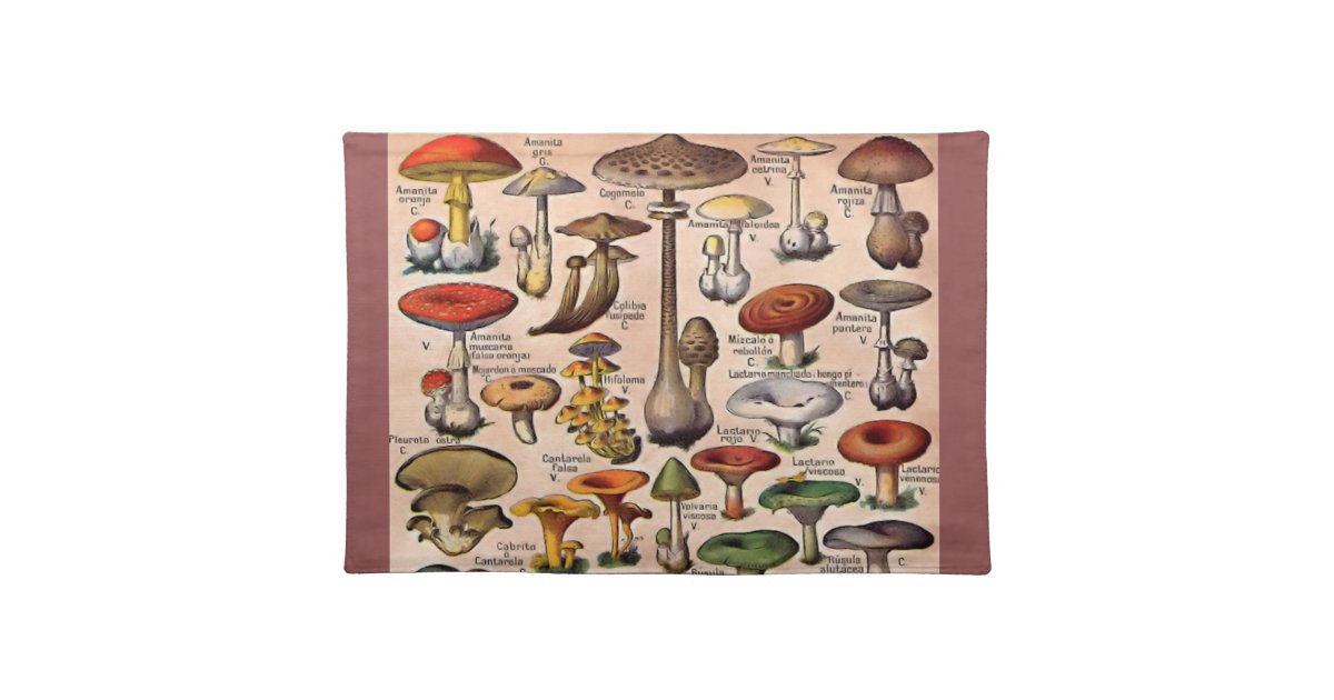 Vintage Mushroom Guide Placemat | Zazzle