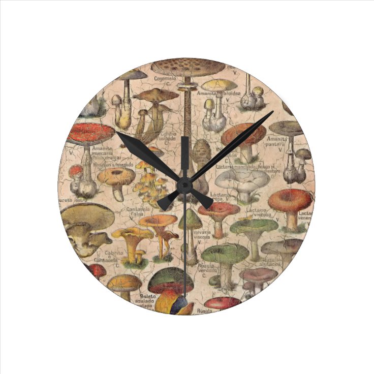 Vintage Mushroom Guide Round Clock | Zazzle