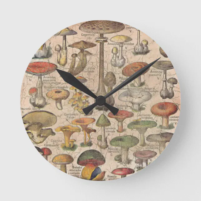 Vintage Mushroom Guide Round Clock | Zazzle