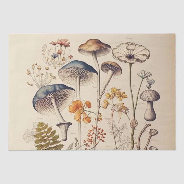 Vintage Mushroom Naturalist Tissue Paper | Zazzle