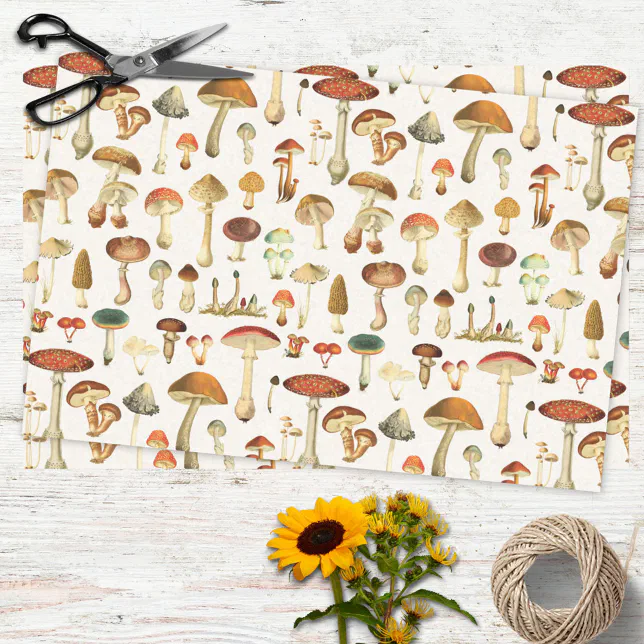 Vintage Mushroom Pattern Tissue Paper | Zazzle