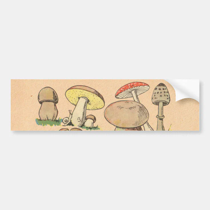 Vintage Mushroom Print Bumper Sticker | Zazzle