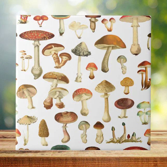Vintage Mushroom Seamless Pattern Ceramic Tile | Zazzle