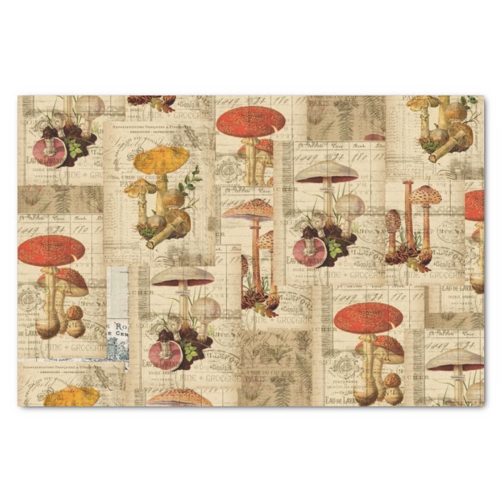 Vintage Mushroom Tissue for Decoupage Tissue Paper | Zazzle.com