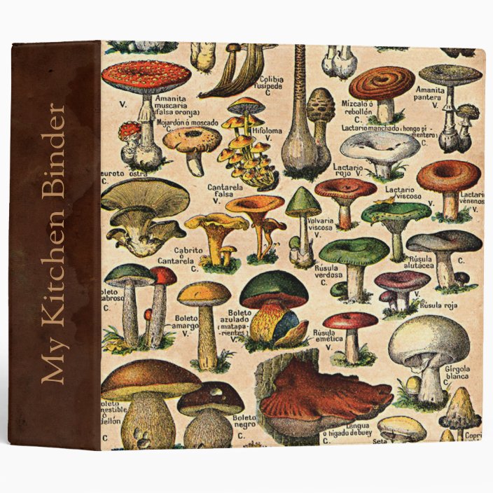Vintage Mushrooms Custom Binder | Zazzle.com