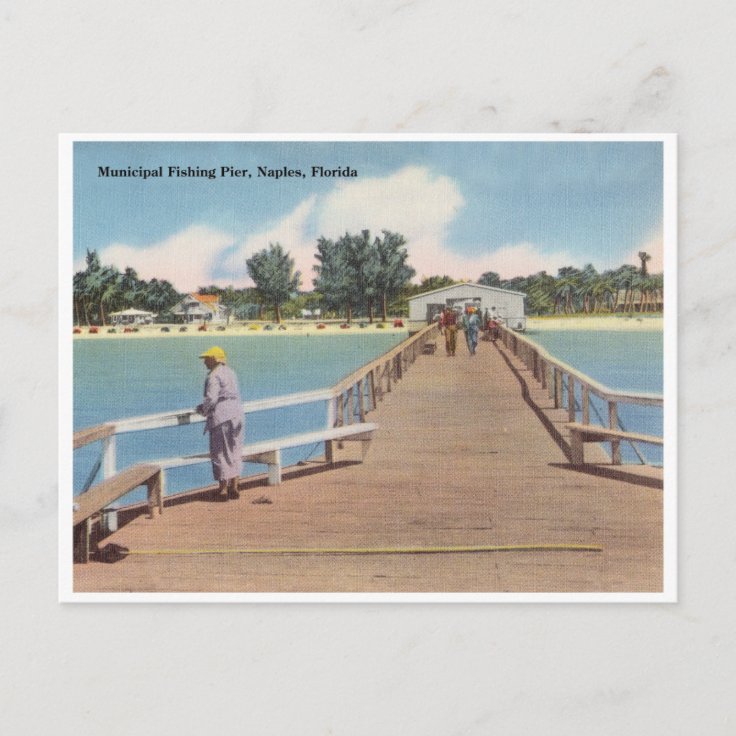 Vintage Naples, Florida Postcard | Zazzle