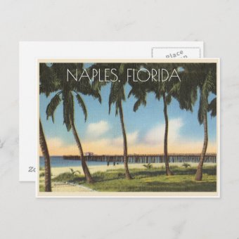 Vintage Naples, Florida view of gulf Postcard | Zazzle