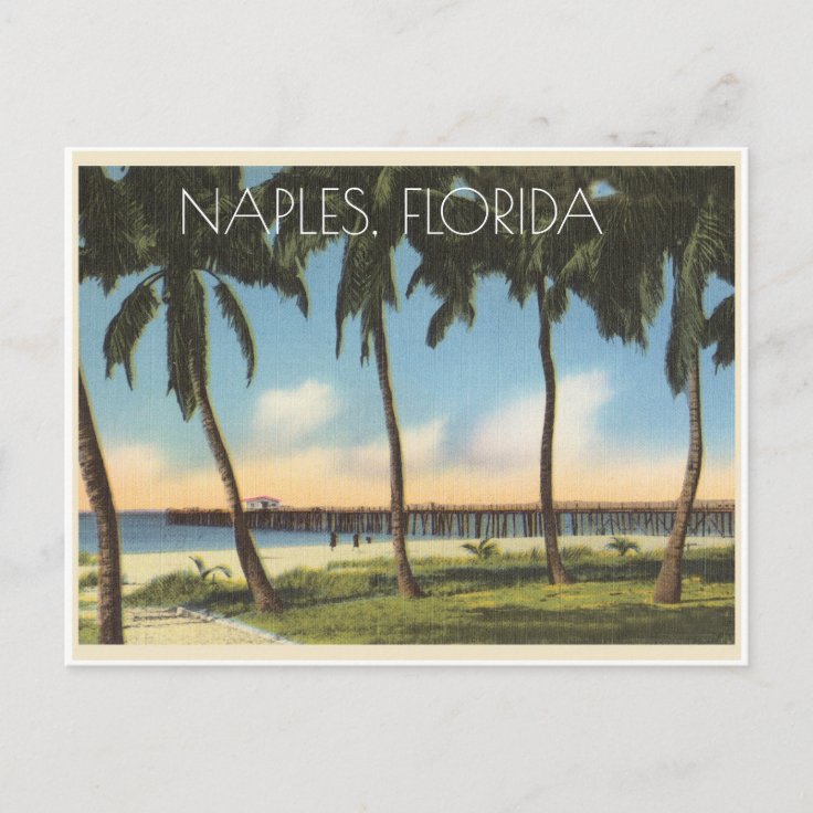 Vintage Naples, Florida view of gulf Postcard | Zazzle
