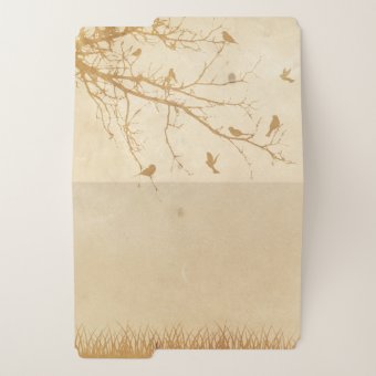 Vintage Nature File Folder 3-Folder Set | Zazzle