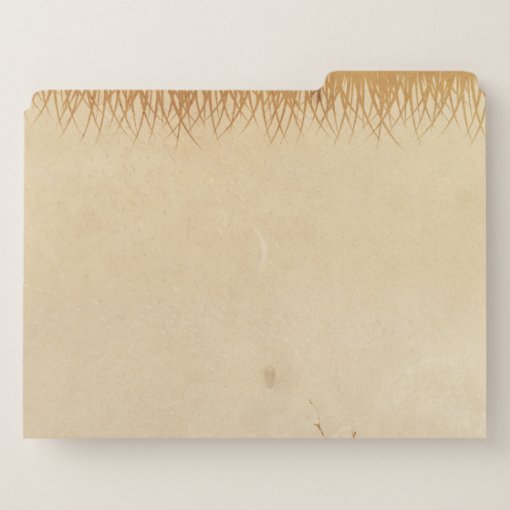 Vintage Nature File Folder 3-Folder Set | Zazzle