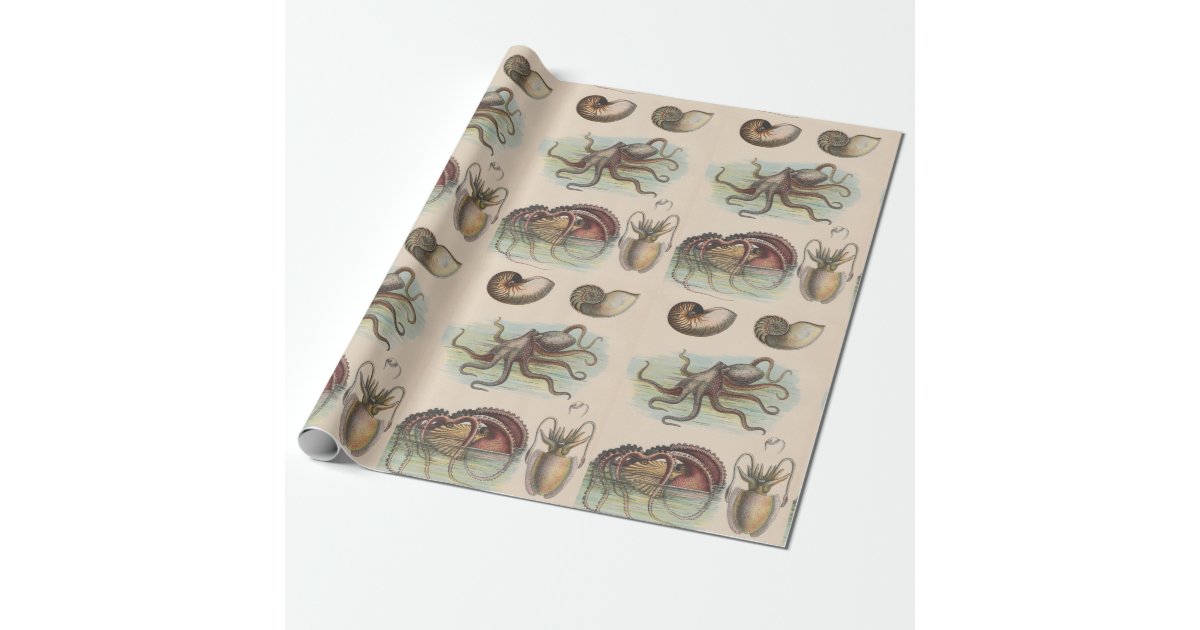 Vintage Nautical - Octopus, Nautilus and Squid Wrapping Paper | Zazzle
