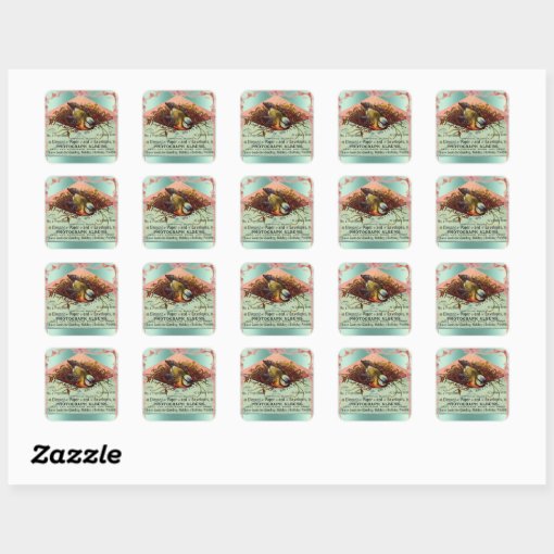 Vintage nesting bird sticker | Zazzle