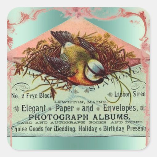 Vintage nesting bird sticker | Zazzle