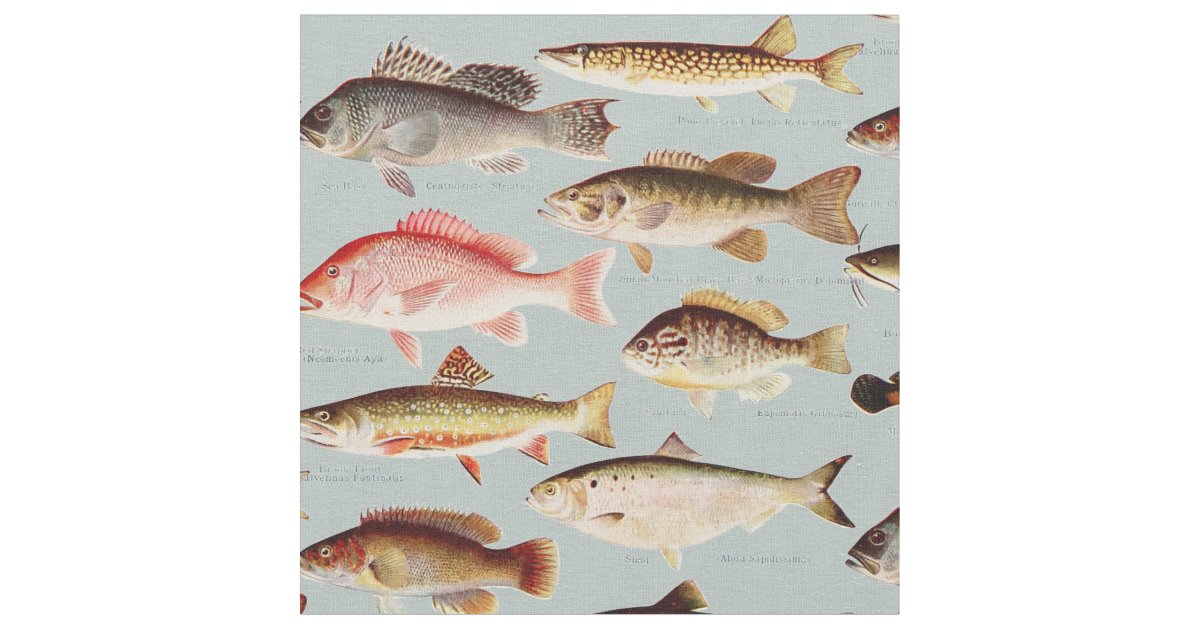Vintage North American Fish Pattern Fabric | Zazzle