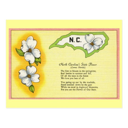 Vintage North Carolina State flower, poem Postcard | Zazzle.com