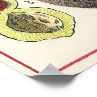 Vintage Nutmeg Plant Fruit Seeds, Food Herbs Spice Poster | Zazzle