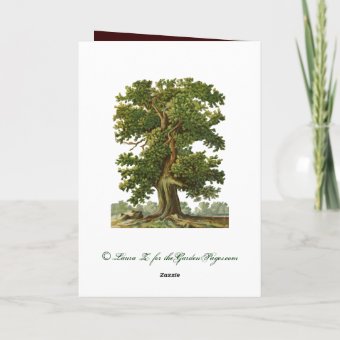 Vintage Oak Tree Art Blank Card | Zazzle